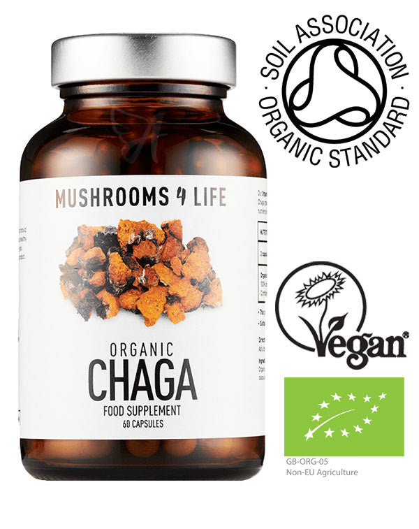 Organic Chaga mushroom capsules | for the Ageless